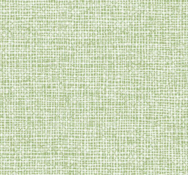 Mauwie | Celery – Daisy Bennett Designs